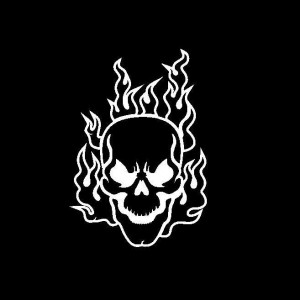 Flaming Skull Vinyl Decal Stickers - Custom Sticker Shop